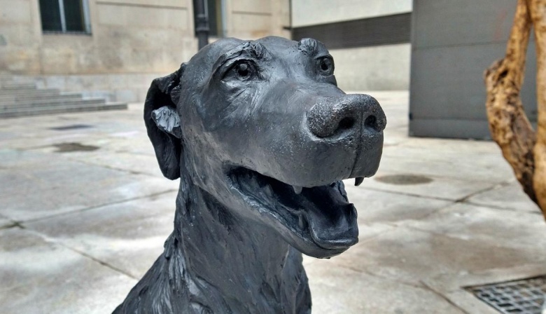 Municipio del Conurbano tendrá un monumento al perro - Infobonaerenses