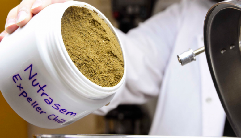 Investigadores de la UNLP y la UNLu crean un ingrediente proteico a ...